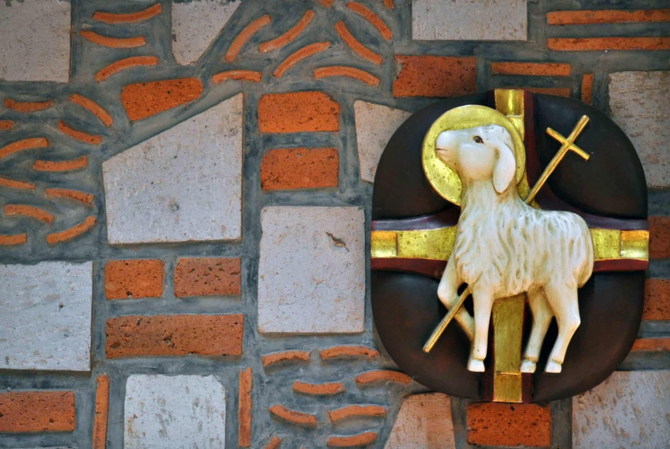 Este es El Cordero de Dios que quita el pecado del mundo: Comentario P. Jorge Miró – Exaudi