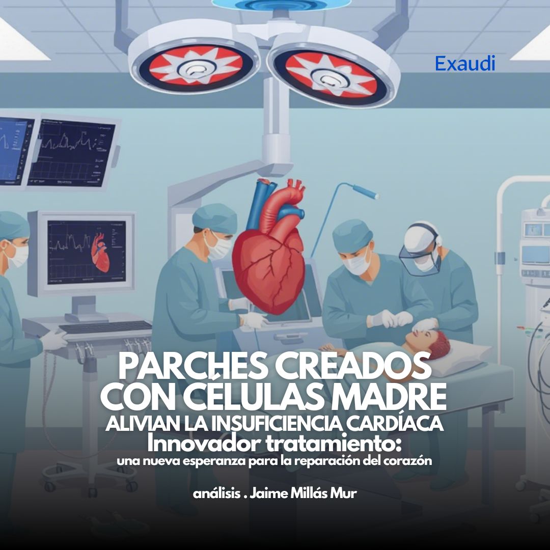 Parches creados con células madre alivian la insuficiencia cardíaca ...