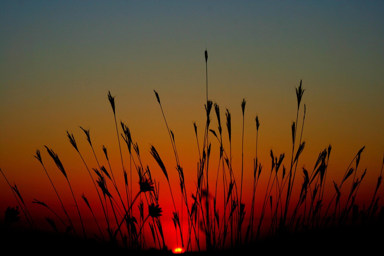 Jesus Approaches, Takes the Bread, and Gives It to Him: Commentary by ...