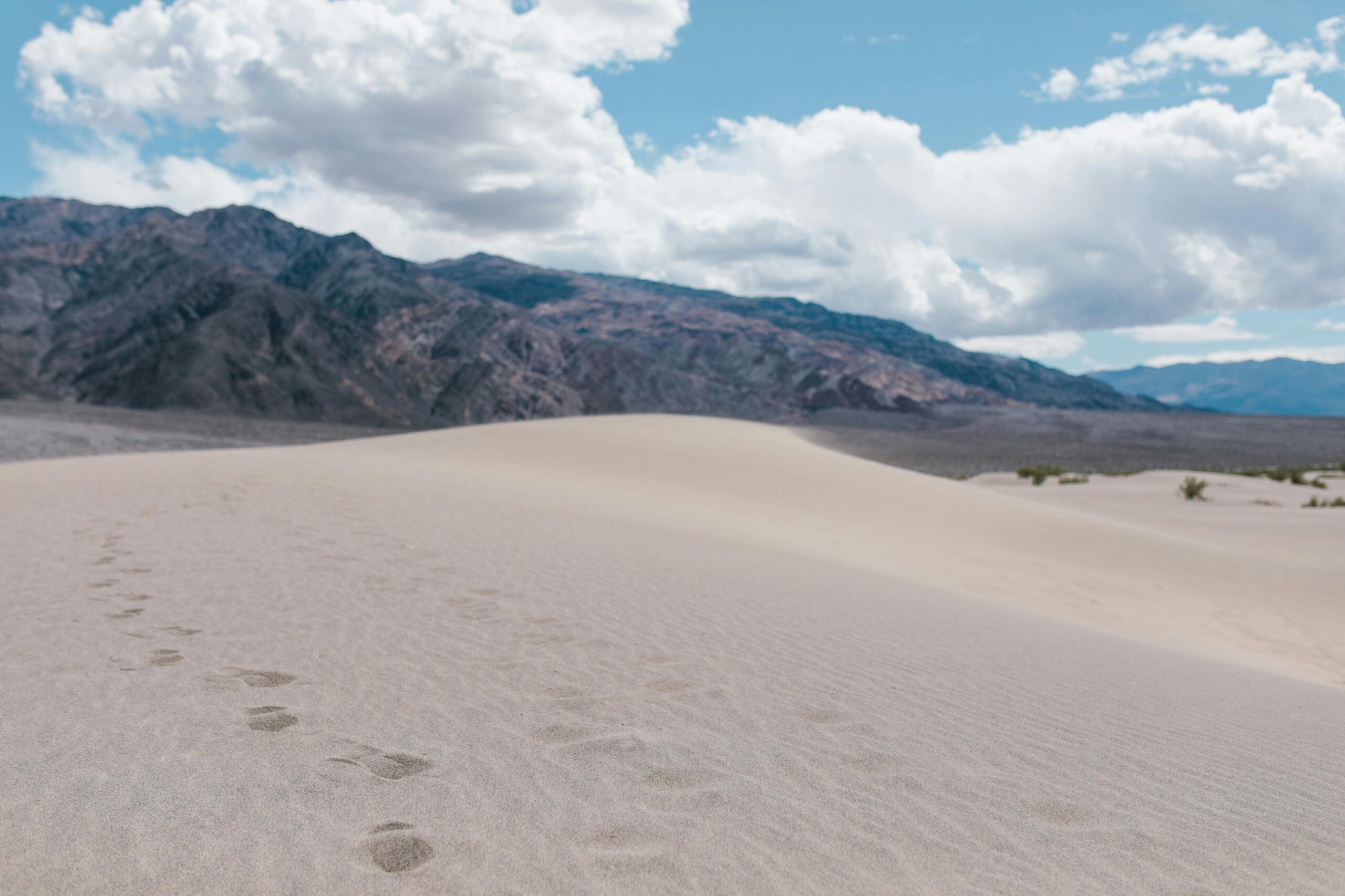 Follow Jesus. Invocation and Invitation to Christ’s Mission and the ...